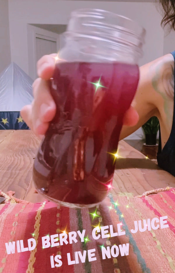 Cell Juice • Wild Berry – Wild Feather Medicinals